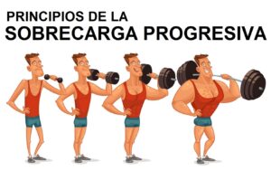 Principios de la Sobrecarga Progresiva
