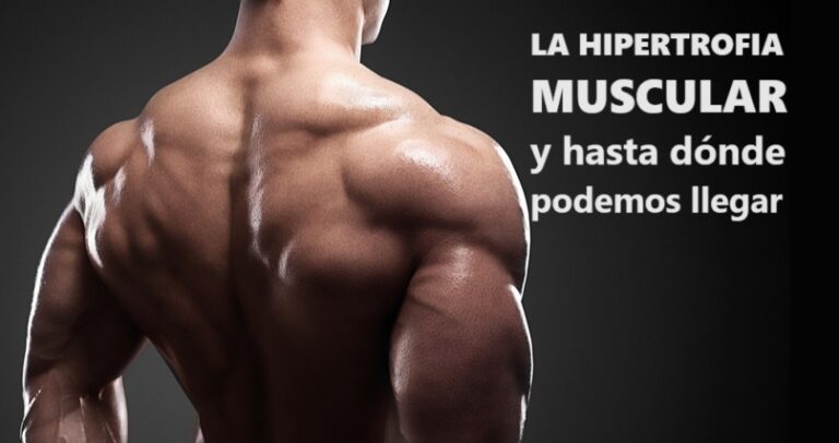 La Hipertrofia Muscular y Hasta Dónde Podemos Llegar